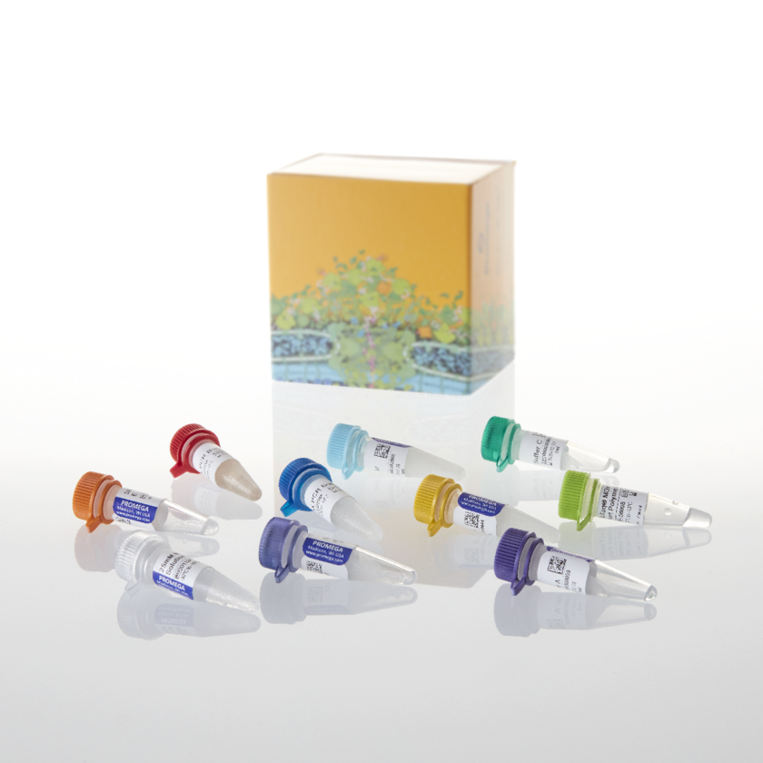 Pcr Optimization Kit Nerliens Meszansky As